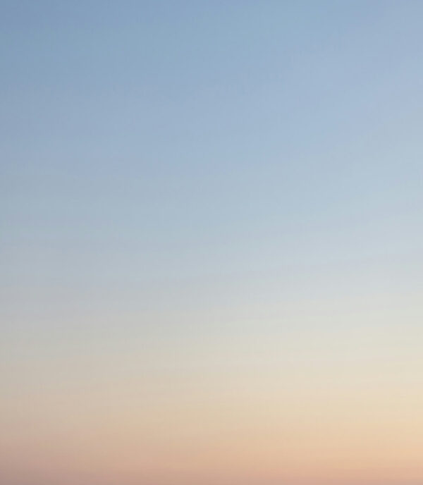 Panther National Lifestyle Landing Page - PANTHER NATIONAL